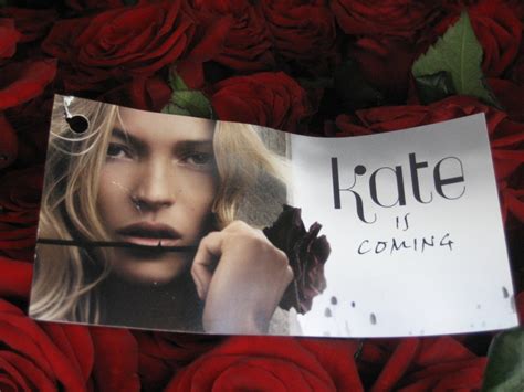 Coty Benelux Bv Kate Moss Wild Rose Arie Bestebreur En Sdk Vof