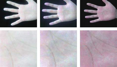 A Performance Evaluation Of Classic Convolutional Neural Networks For 2d And 3d Palmprint And