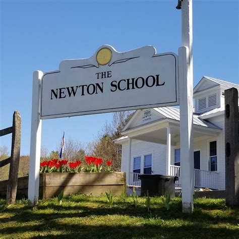The Newton School Youtube