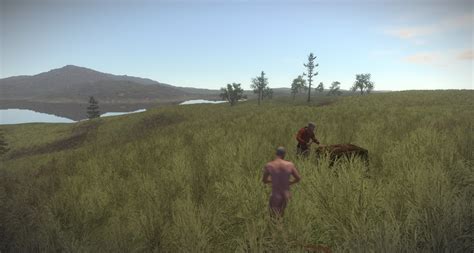 Friday Devblog News Rust