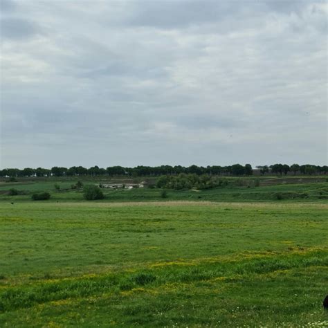 A Field With A Tree And A Building In The Background Premium Photo