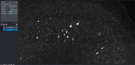 Use Of Scanimage Offset In Tileload Can Cause Problems Issue Swc Advanced Microscopy