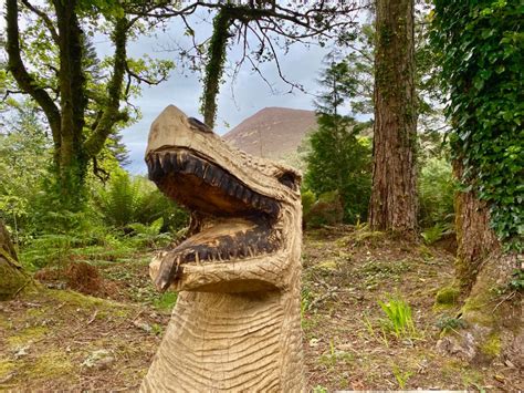 Primaeval Forest Roaringwater Journal