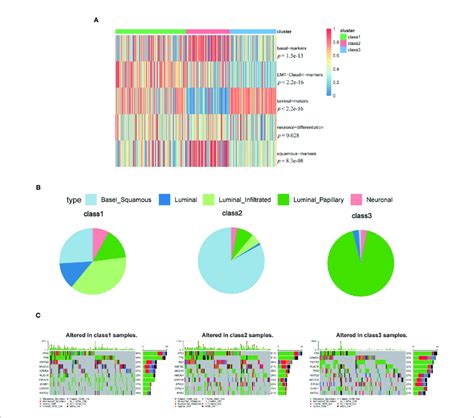 The Biomarkers Of Other Subtypes And Mutations Among Three