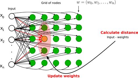 Frontiers An Overview Of Deep Learning Applications In Precocious Puberty And Thyroid Dysfunction