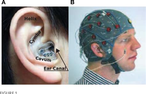 Figure 1 From Ear Eeg Sensitivity Modeling For Neural Sources And