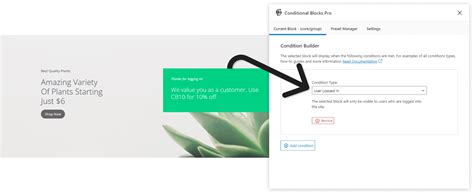 Introducing Conditional Blocks 20 Conditional Blocks