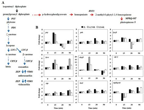 Gene Expression Analysis Of C Reinhardtii Il A250r And S264k Strains Download Scientific