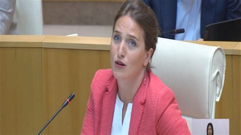 მარიამ ლაშხს სურს დეპუტატებმა უარი თქვან „დაუსაბუთებულ შეურაცხყოფაზე