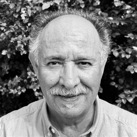 dipl ing hossein rahmanzadeh berater für supply chain quality und umweltmanagement