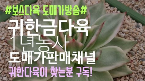 10월28일 귀한아이 소개드립니다 연두마리아 기적금 도매가보스 歡迎來到中國中国人欢迎 Youtube