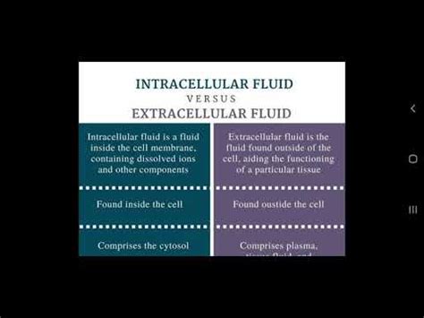 Difference Between Intracellular And Extracellular