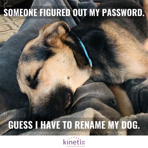 Jeremy Johnson On Linkedin Jokeoftheday Techjoke Techhumor Technology Business Kinetixllc