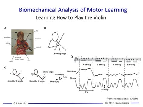 Lec 10 Angular Kinematics And Torques Flashcards Quizlet
