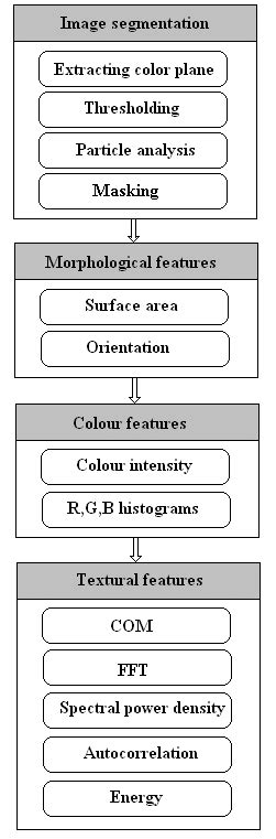 Flow Chart Of Feature Extraction Download Scientific Diagram