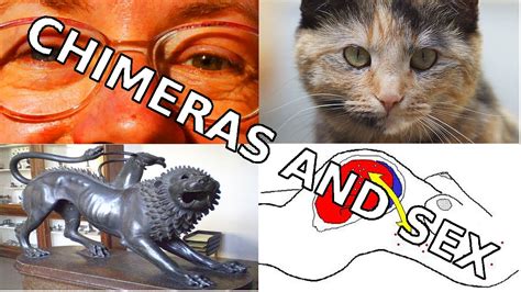 Sex With Chimeras Youtube