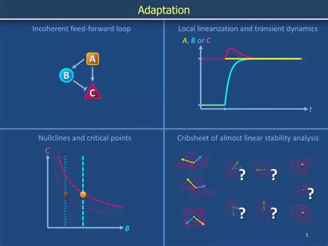 Ppt Adaptation Powerpoint Presentation Free Download Id3188567