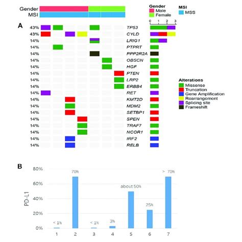 A Co Mutation Plot Of Various Types Of Mutations In All Patients Download Scientific