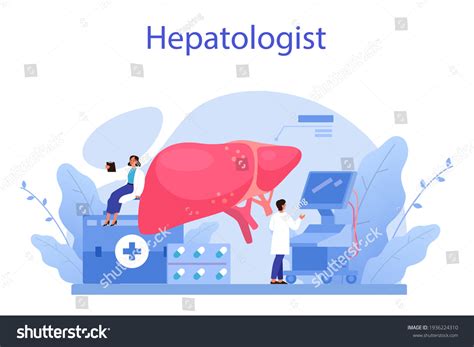Hepatectomy Photos And Images Shutterstock