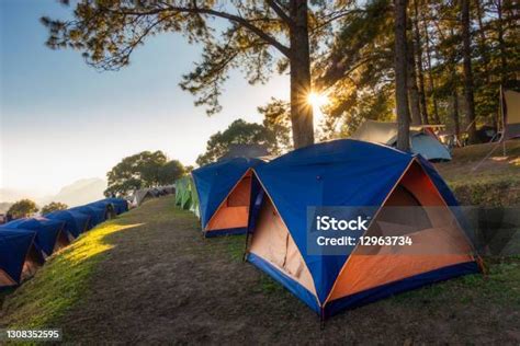 관광 캠프 텐트 와 일출 동안 소나무 숲 아래 테라스 캠핑 휴가 모험 야외 및 레저 활동을위한 필드 캠프장 배낭 여행 관광 여행 모험 라이프 스타일 0명에 대한 스톡 사진