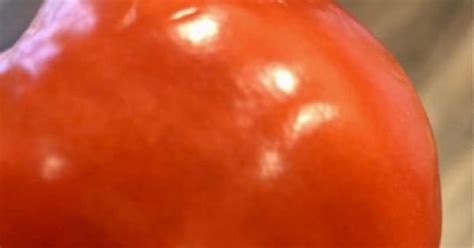 Another Pic Of The Tomato Growing Inside Itself Album On Imgur