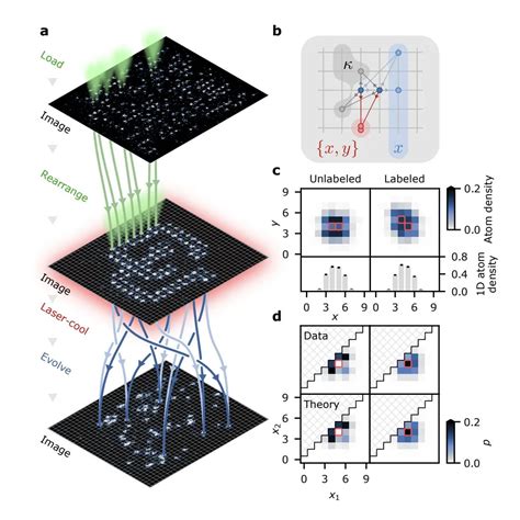 Team Achieves Breakthrough In Boson Sampling With Ultracold Atoms