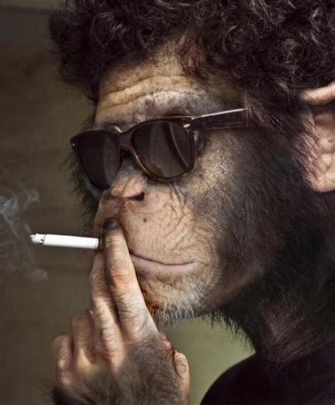 Redis的两种持久化的机制，你真的了解么？ 知乎