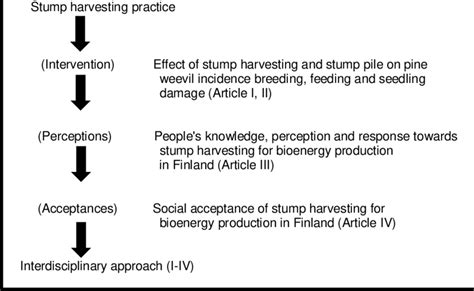 General Framework Of The Dissertation Download Scientific Diagram