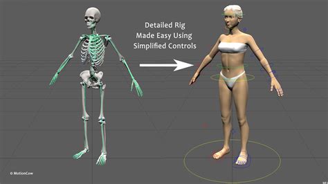 D Model Female Skeleton Rigged TurboSquid