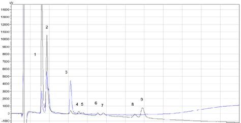 Standard Mixture Chromatogram For Hplc Sugar Determination Black And