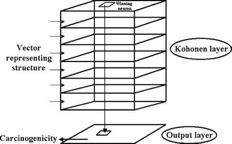 The Architecture Of Counter Propagation Artificial Neural Network Cp Ann Download Scientific