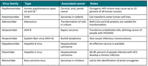 Viral Pathogenesis Flashcards Quizlet