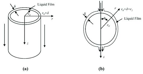 Calculation Diagram Of The Liquid Axial Descending Film A And Download Scientific Diagram