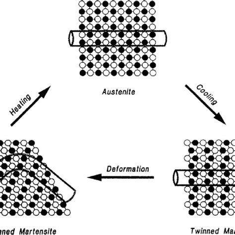 Diagrammatic Representation Of The Shape Memory Effect Of Niti Alloy Download Scientific