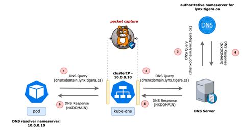 Dns Observability And Troubleshooting For Kubernetes And Containers