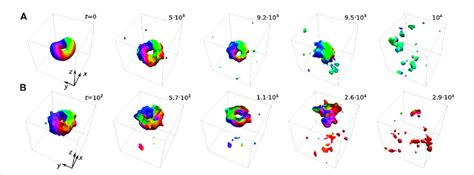 snapshots of the system in two different stochastic llg simulations are