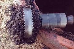 Tree Root Cutting Root Cutting And Maintenance Company
