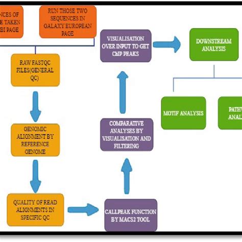 Chip Seq Pipeline Of Hodgkin Lymphoma Download Scientific Diagram