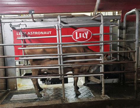 2 Lely A4 Robots Dairy Train Classifieds