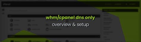 Whmcpanel Dnsonly Overview And Setup Hostafrica
