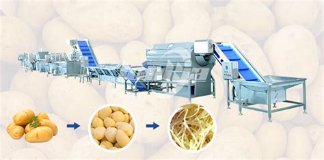 Advanced Potato Washing And Blanching Line In Action Lonkia Machinery