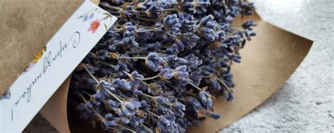 An Lavanda Сделано с лавандой Влюблённым в лаванду моё почтение Для вас домашний декор