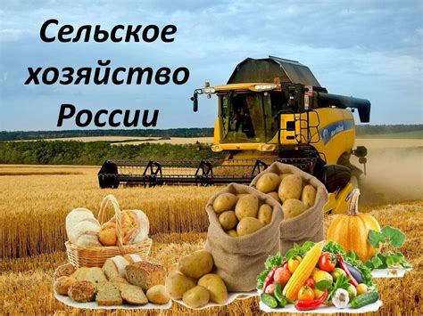 Сельское хозяйство России Доля России в сельском хозяйстве Online Presentation