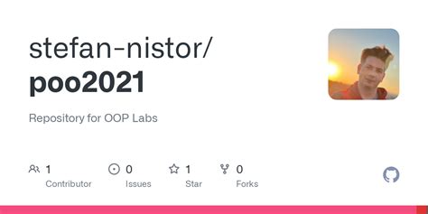 github stefan nistor poo2021 repository for oop labs