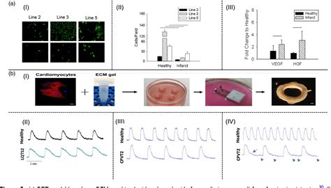 Figure 1 From Recent Advances In Soluble Decellularized Extracellular Matrix For Heart Tissue