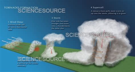 Tornado Formation Stock Image Science Source Images