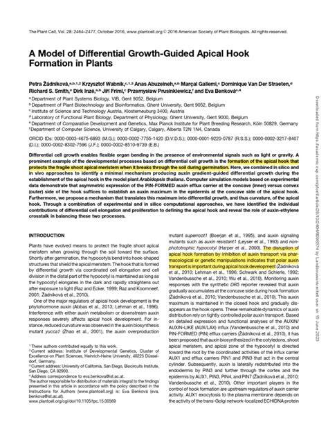 Zadnikova Apical Hook Formation In Plants Pdf Auxin Gene Expression