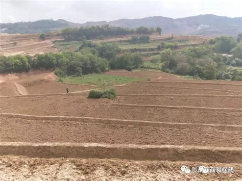 坡耕地 坡耕地平面图 耕地 大山谷图库