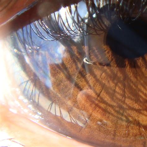 Sudeepto Bose Youtube