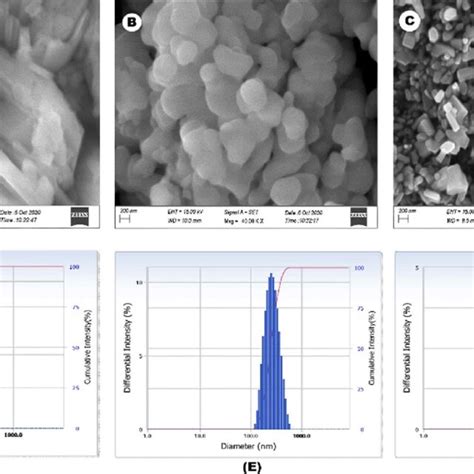 SEM Image Of A CSNP B CSNP SiO NC And C CSNP SiO ZnO NC And The Download Scientific
